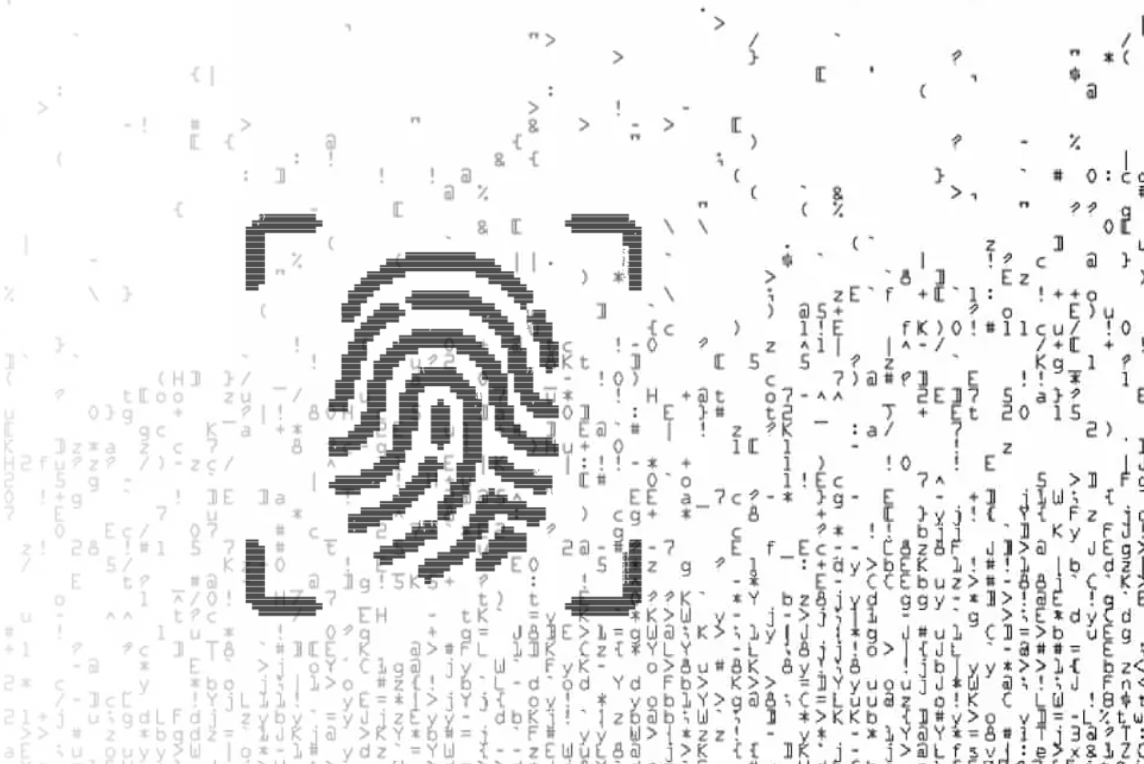 Person of Interest/Executive Investigation Services | Flashpoint